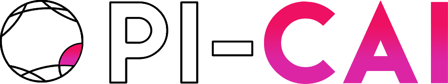 PI-CAI